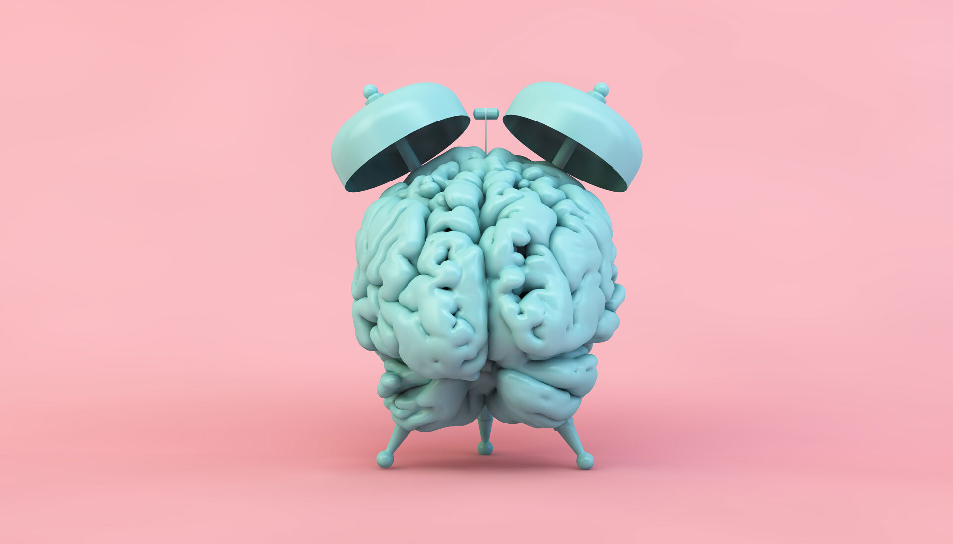 What Part of the Brain Controls Sleep? | Ecosa Blog