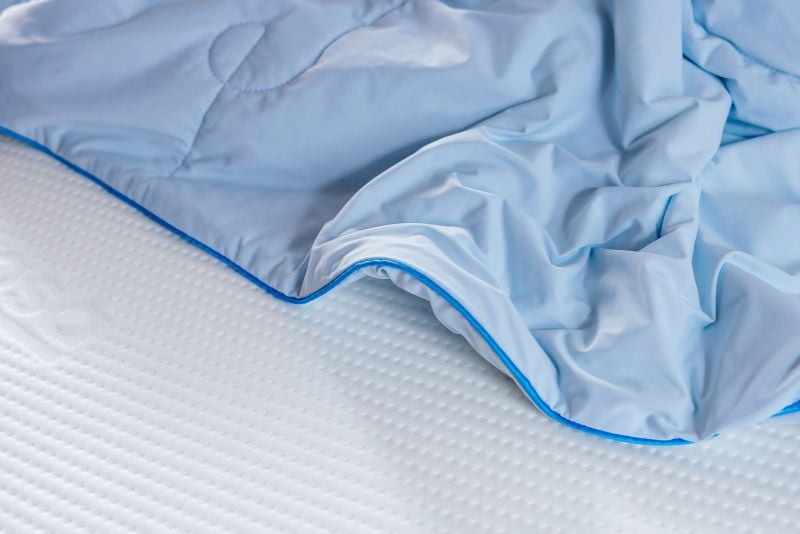 What is the Best Doona Filling? (Doona Buying Guide) | Ecosa Blog